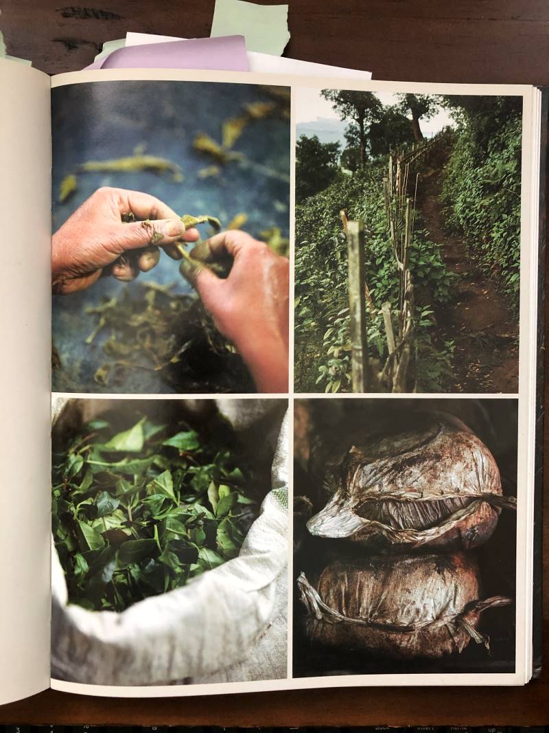 A Shortcut to Buzzy Burmese Tea Leaf Salad (Laphet Thoke) - Viet World ...