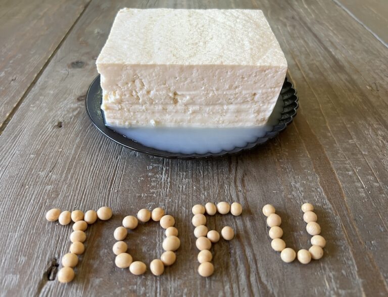 Tofu FAQs: What is tofu? Is tofu Healthy? How to cook tofu well? - Viet ...