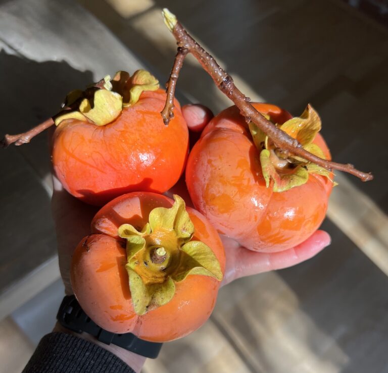 How to prep persimmons and use them in 5 recipes - Viet World Kitchen