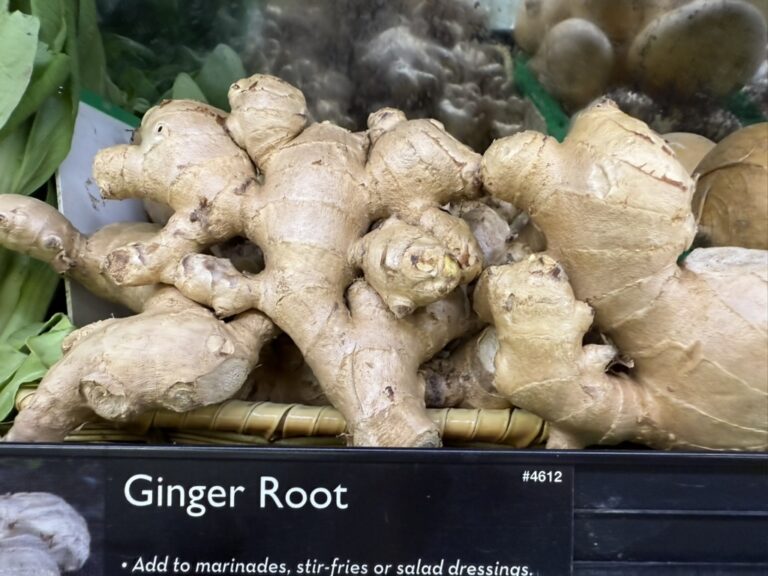 Ginger Buying Guide - Viet World Kitchen